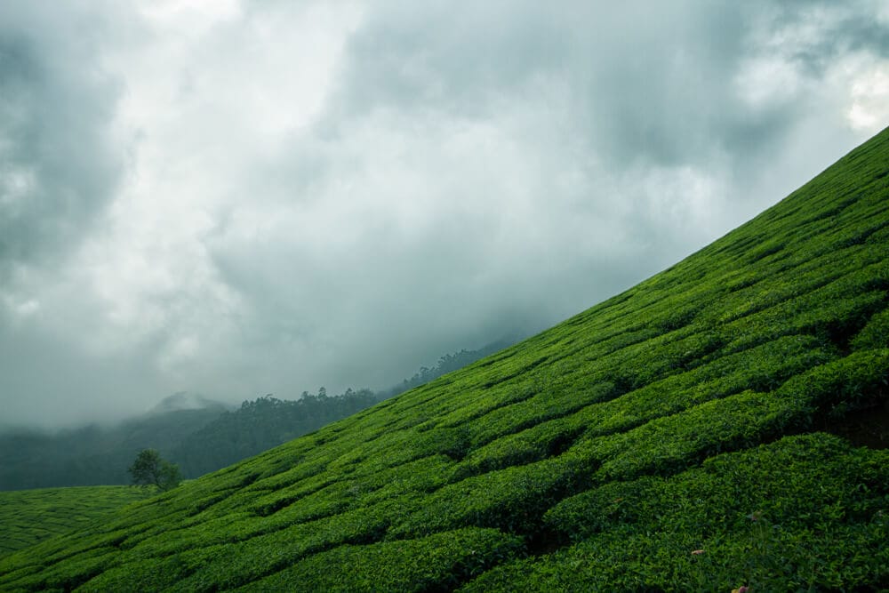 Serenity - Landscape Photography | Ashik George Bastin | Creative Hut